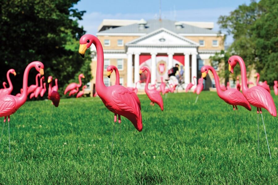 Displays on Bascom Hill | On Wisconsin Magazine