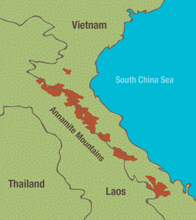 In Search of the Lao Unicorn | On Wisconsin Magazine