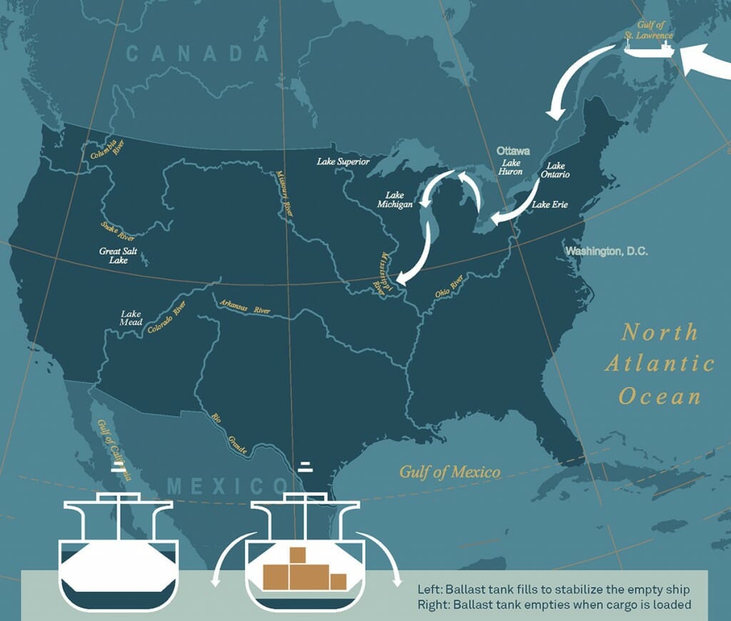 Lake Invaders | On Wisconsin Magazine