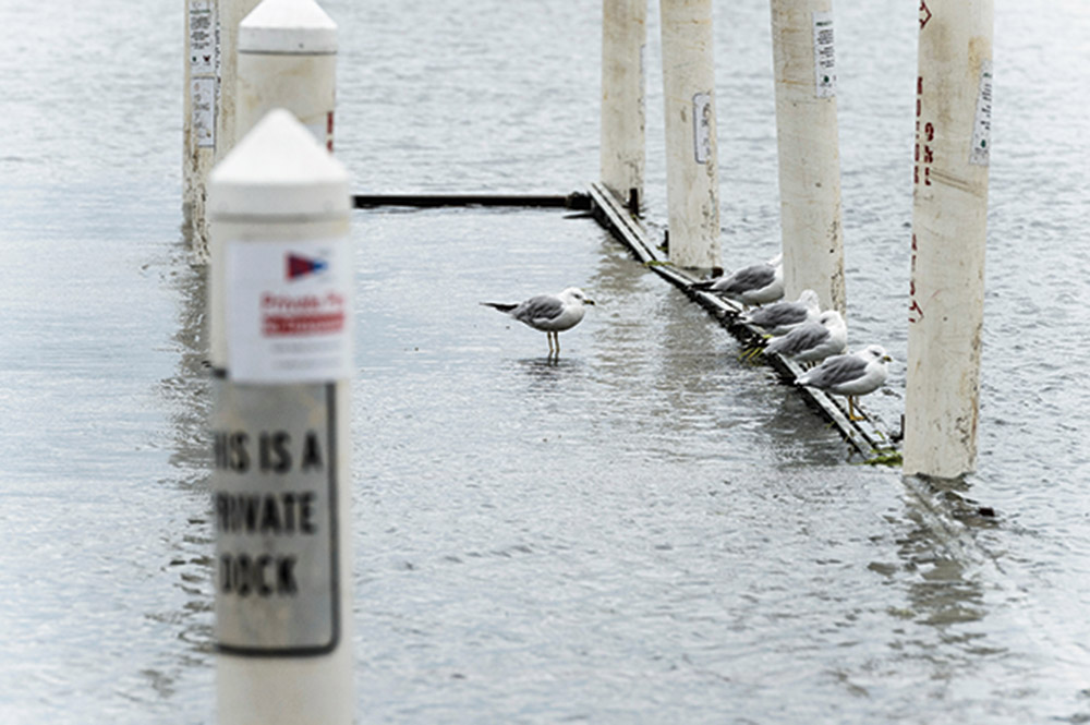 Slideshow: Madison Flood | On Wisconsin Magazine