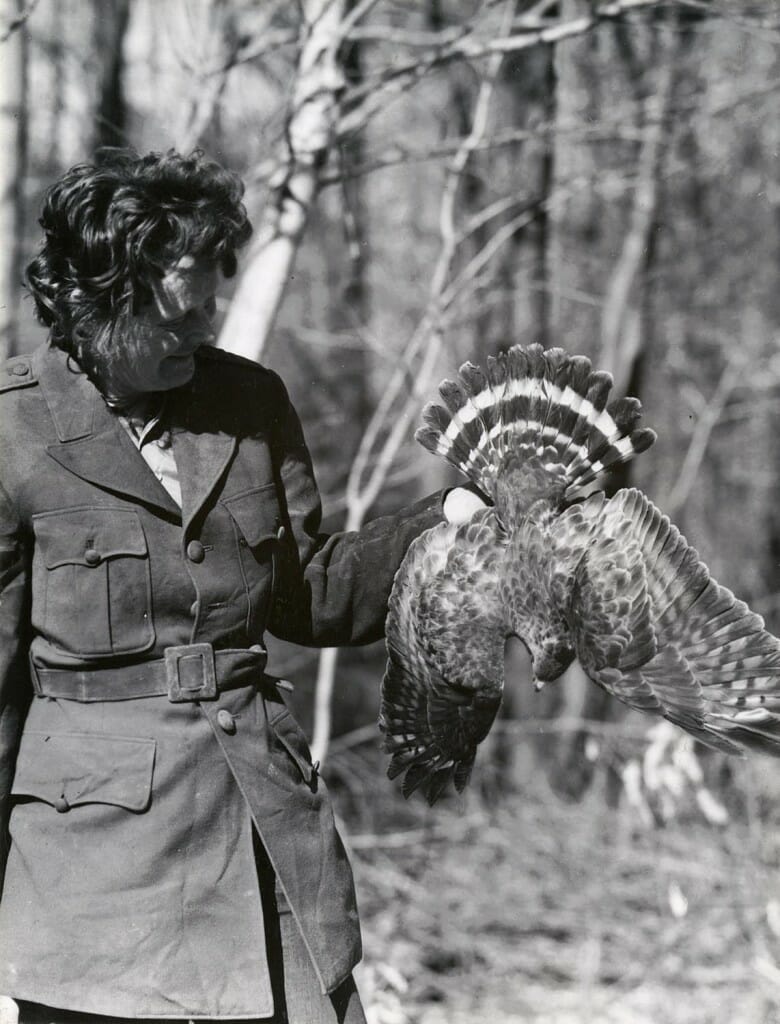 On, Alumnae: Fran Hamerstrom | On Wisconsin Magazine